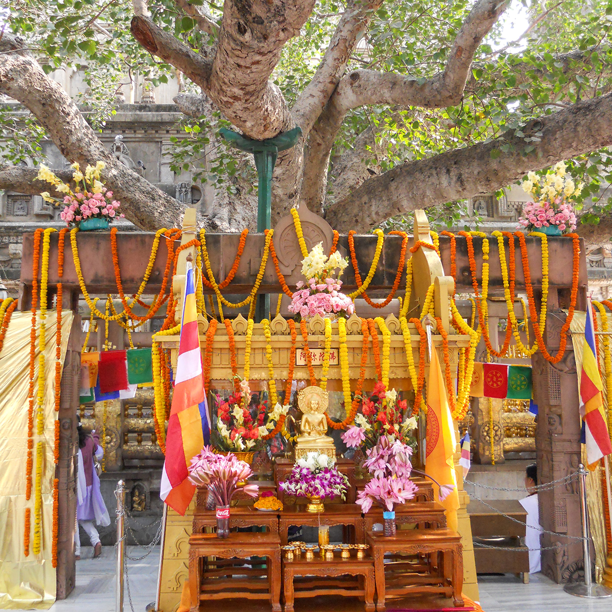 Five Buddha Families – Jewel Heart